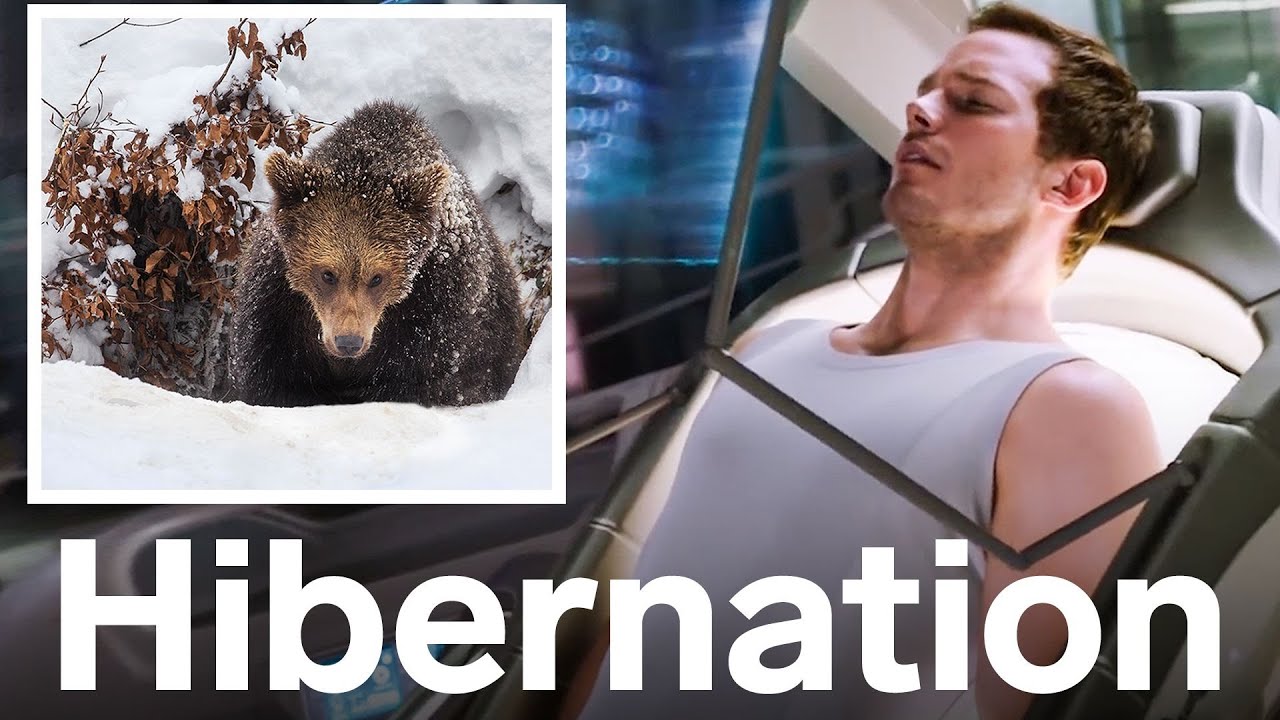 Understanding Diegesis in Film and Television: An Exploration of ...